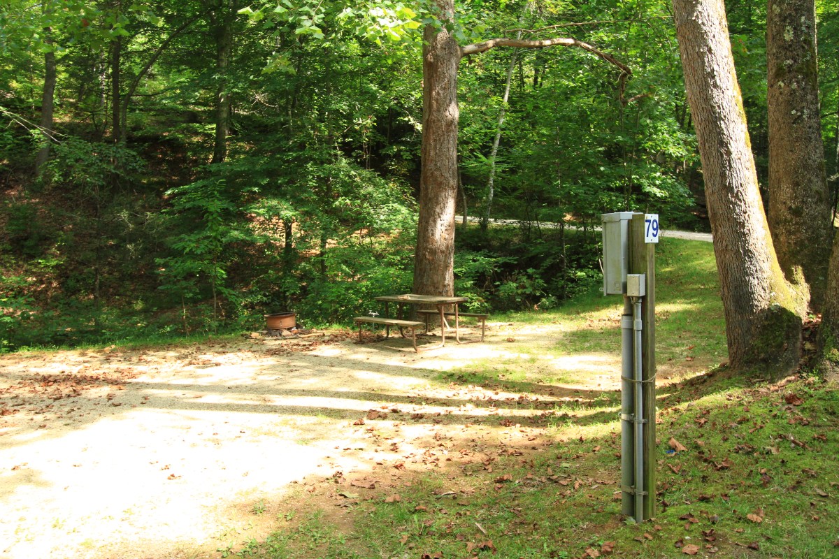 Middle Creek Campground – Your Base Camp for Adventure.